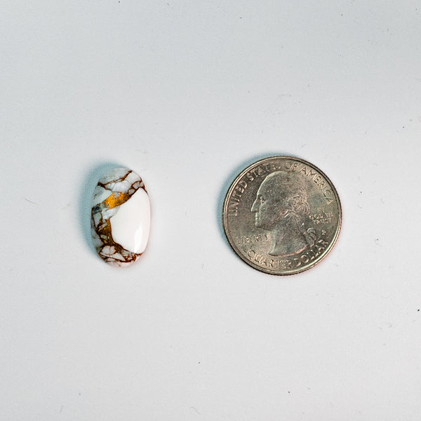 White Buffalo Mojave - 02 – Gem Studio