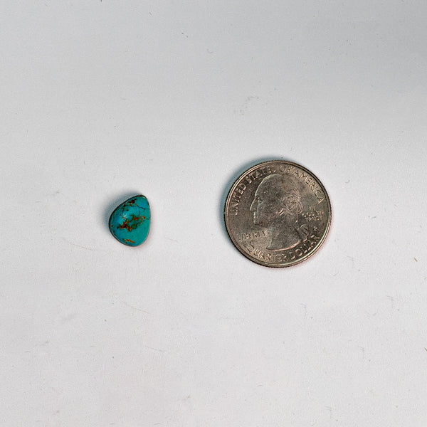 Campitos - 20 – Gem Studio